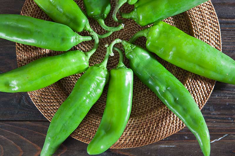 hatch chili peppers - Nugget Markets Image