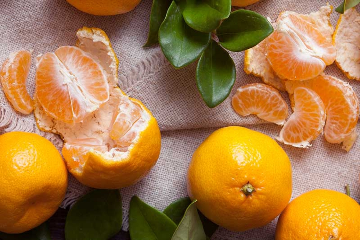 Satsuma - Nugget Markets Image