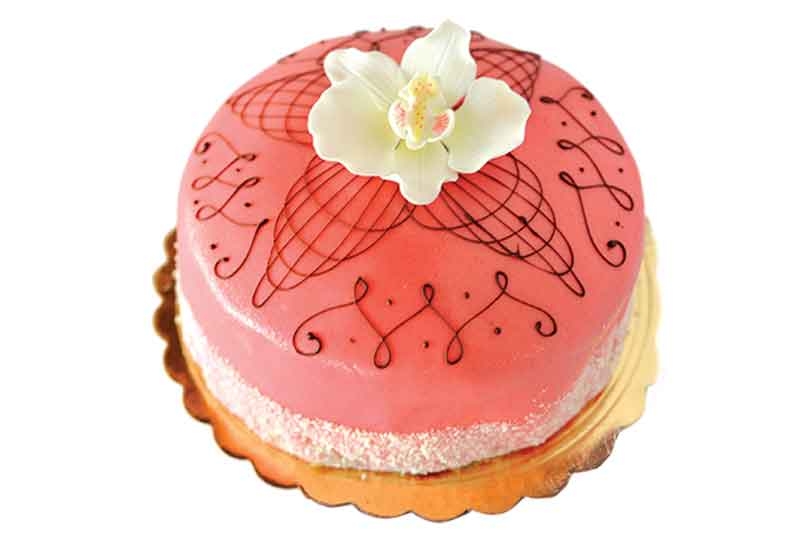 - Nugget Markets Image