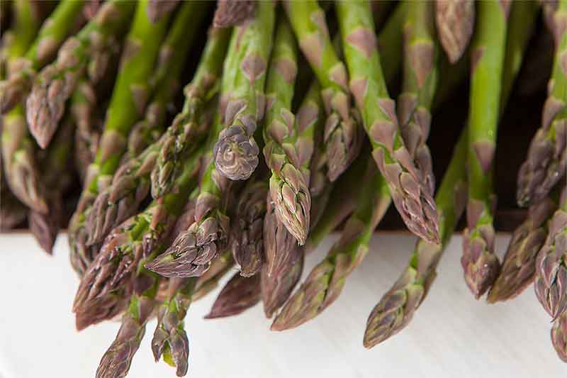 Sonoma and Glen Ellen Village Markets Weekly Specials Starting