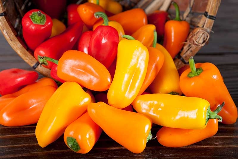 Sweet Mini Peppers - Nugget Markets Image