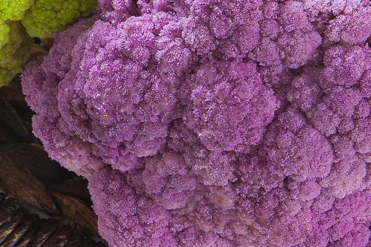 purple cauliflower - Nugget Markets Image