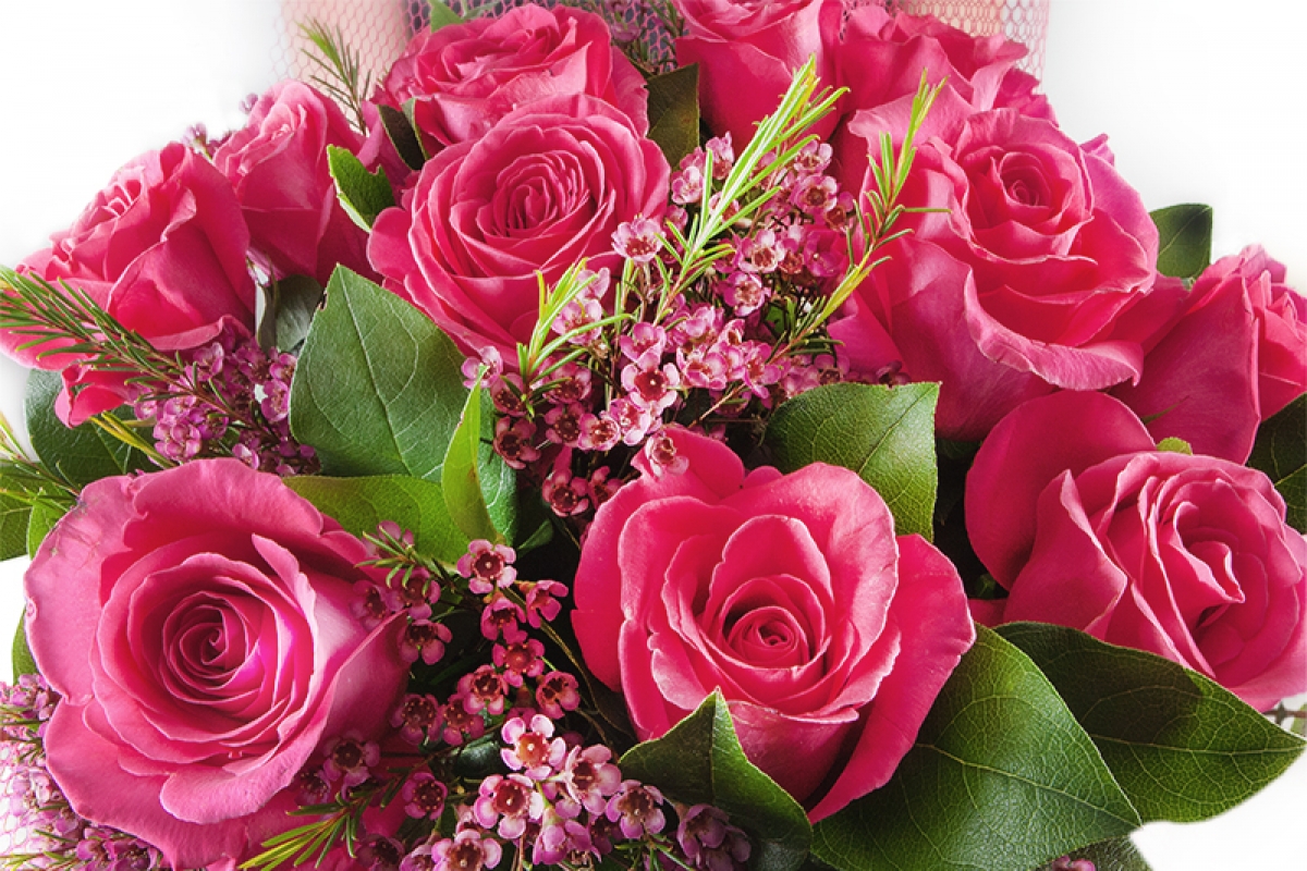 Unforgettable Rose Bouquet - Nugget Markets Image