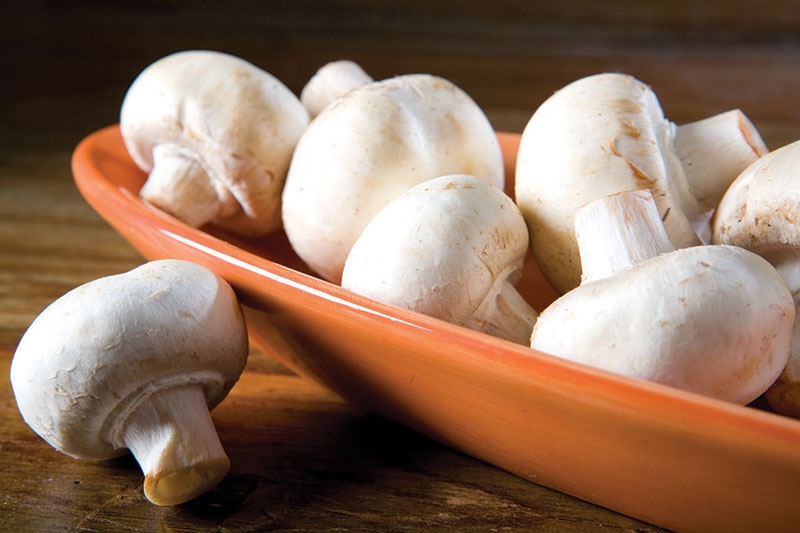 mushrooms - Nugget Markets Image