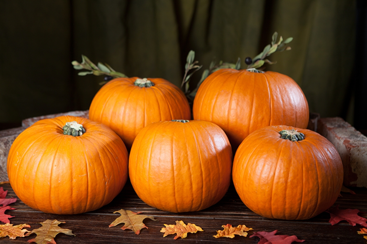 - Nugget Markets Image