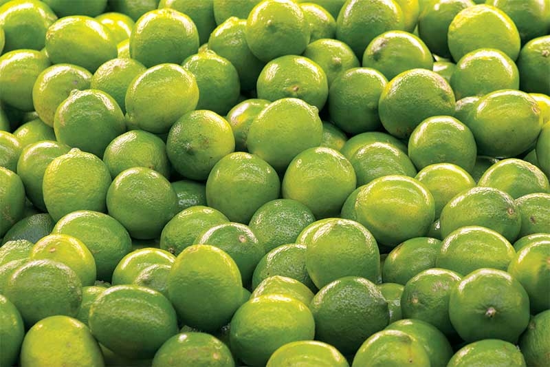 limes - Nugget Markets Image