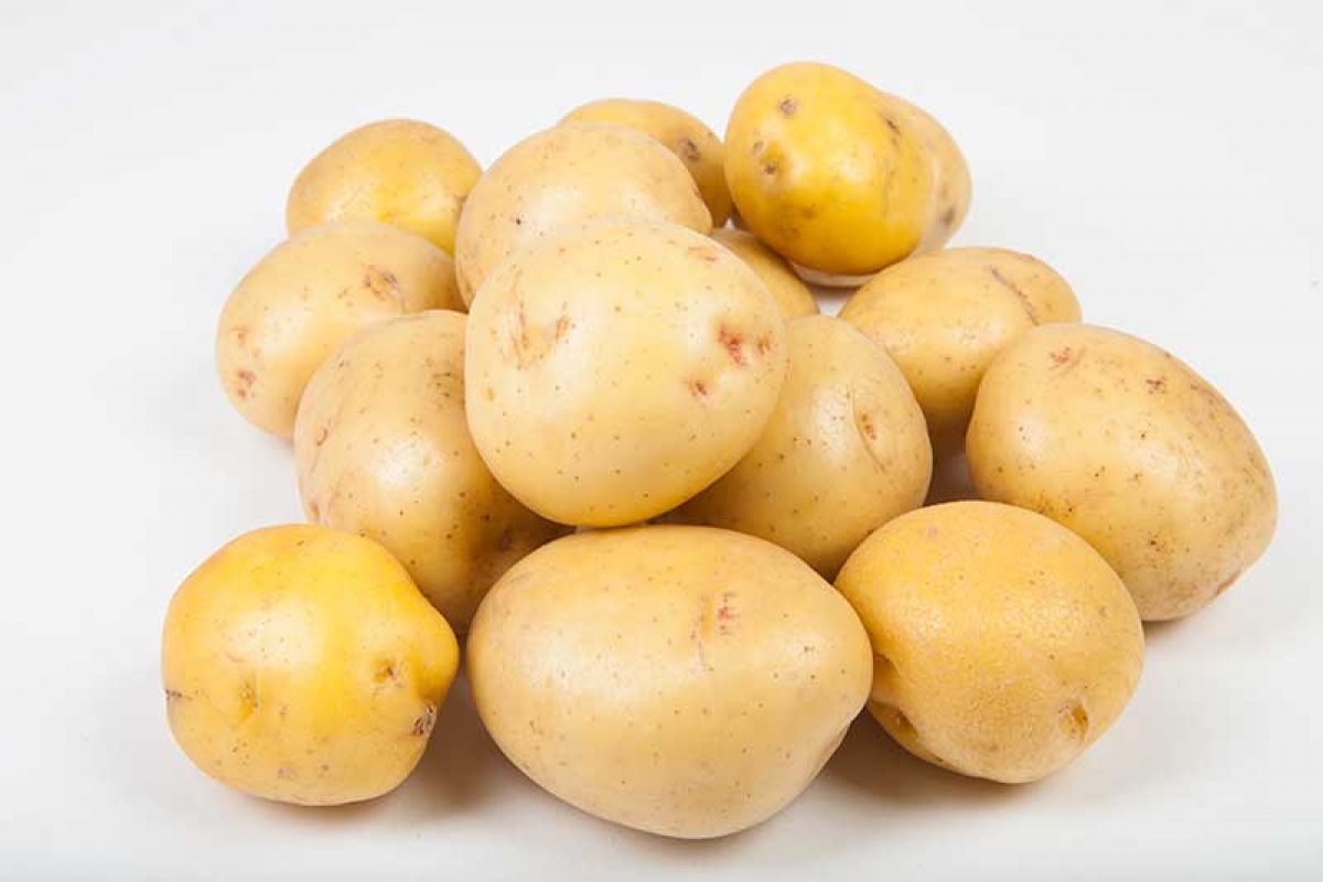 Yukon gold potatoes - Nugget Markets Image