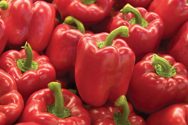 red bell peppers - Nugget Markets Image