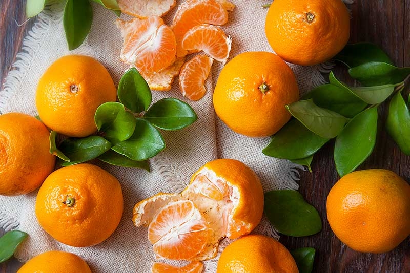 tangerines - Nugget Markets Image