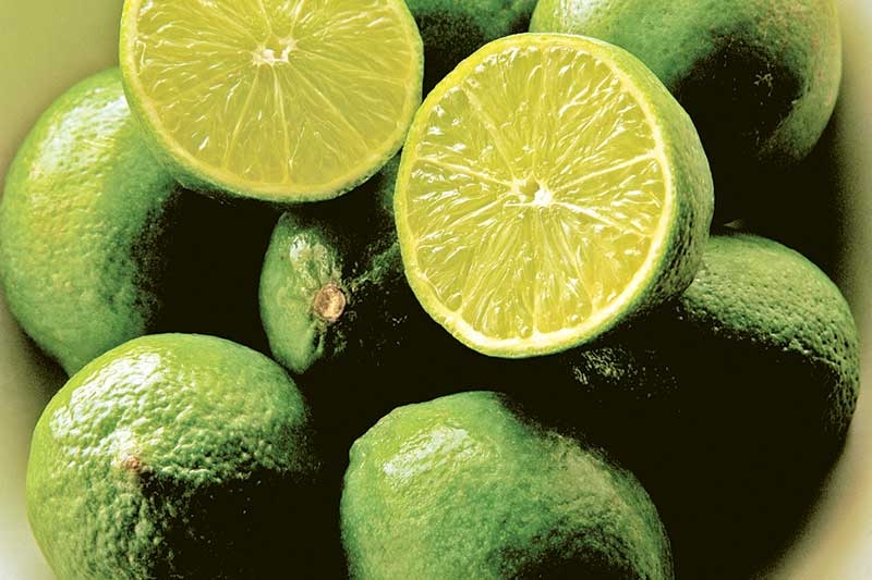 limes - Nugget Markets Image