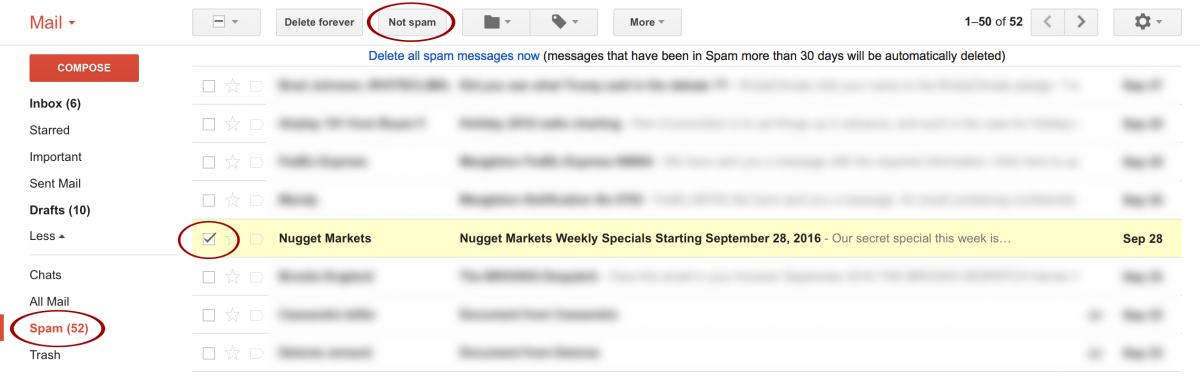Screen capture of Gmail’s spam controls - Nugget Markets Image