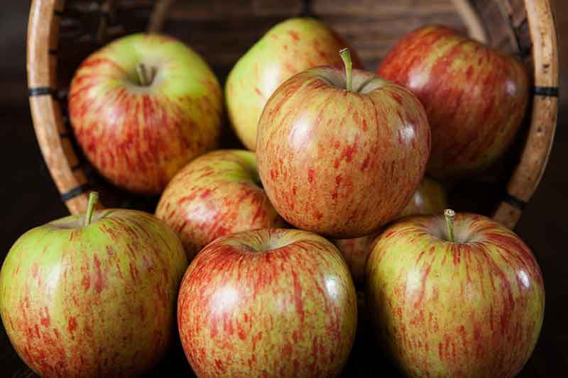jonagold apples - Nugget Markets Image